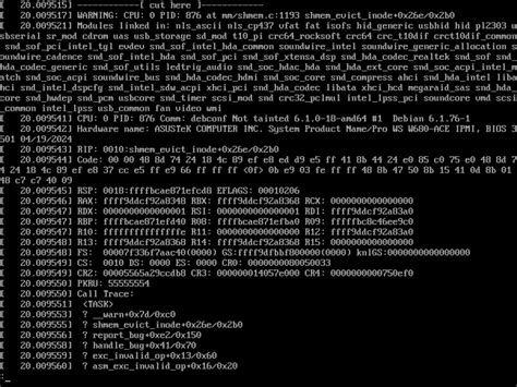 Kernel Bug At Fsinodec613 During Installation Of Debian 1250