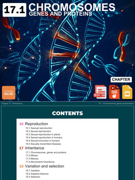 chapter 17 inheritance 1 pdf