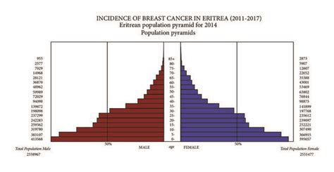 Eritrean Population Pyramid Net Age Sex Distribution Download Scientific Diagram