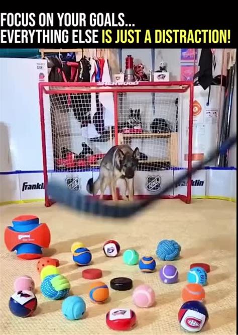 Dmr9ijnw Sayed Mohsen Sebteahmadi