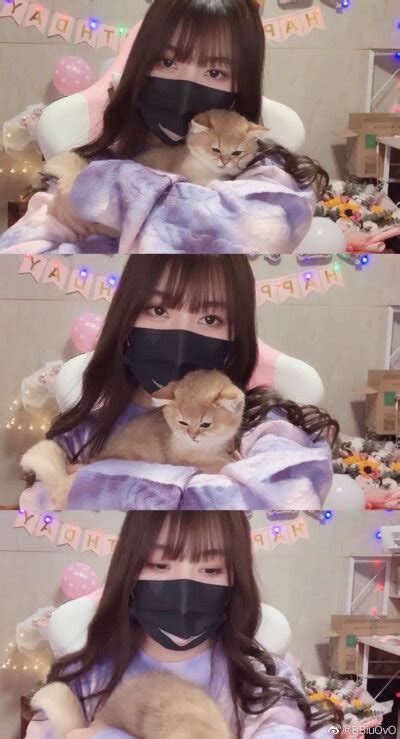 斗鱼主播：一条小团团ovo 围脖：一条小团团 堆糖，美图壁纸兴趣社区