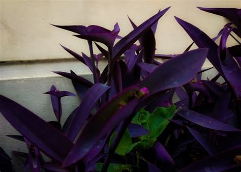 Base64 Encryption Explained — Hive