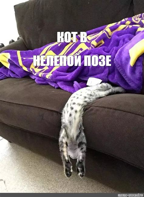 Создать мем кот кошка кошка спящая в нелепой позе Картинки Meme