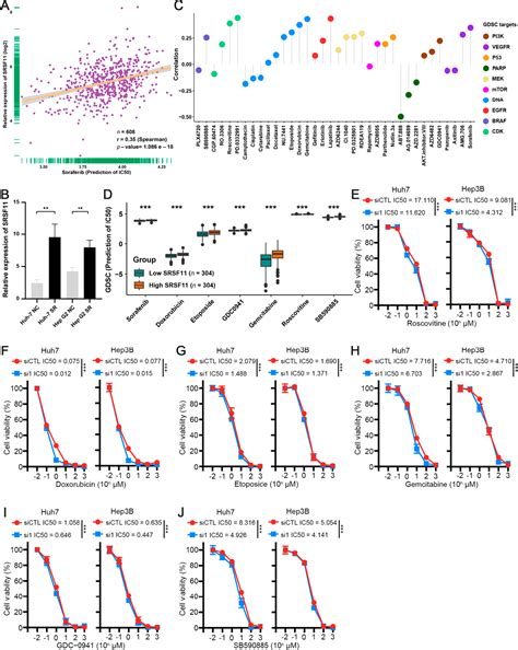 Figure 9 From Comprehensive Molecular Analysis Identified An Srsf