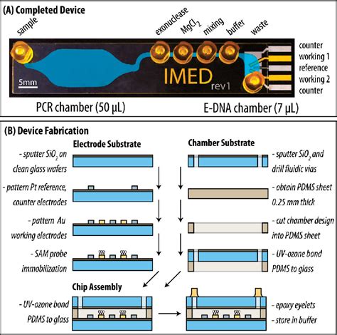 Figure 1 From Integrated Microfluidic Electrochemical Dna Sensor Semantic Scholar