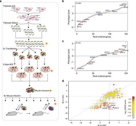 In Vivo Crispr Screen Identifies Known And Novel Virulence Factors A
