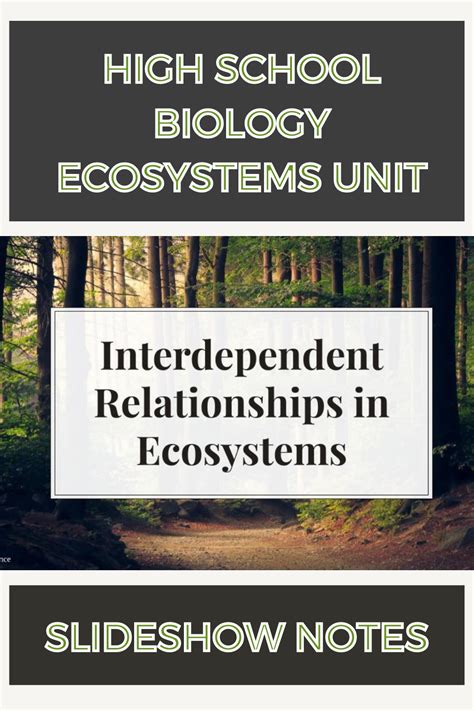 Hs Biology Interdependent Relationships In Ecosystems Notes Artofit