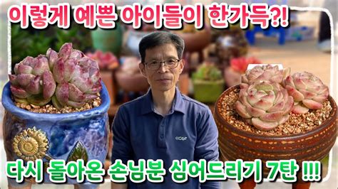 다시 돌아온 손님분 심어드리기 가지각색 예쁜아이들이 한가득 다들 어서들 구경오세요 ~ Youtube