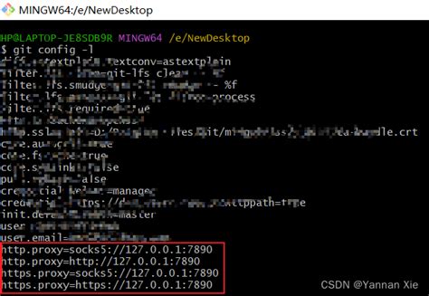 git clone不成功？为git设置永久代理 git clone 代理 csdn博客