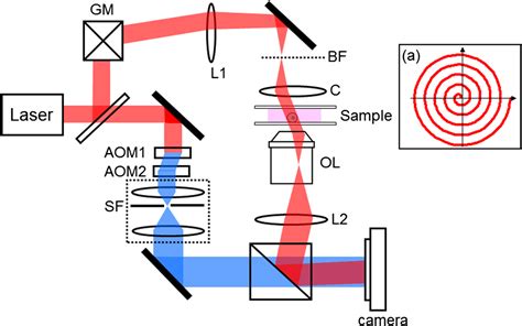 Three Dimensional Differential Interference Contrast Microscopy Using Synthetic Aperture Imaging