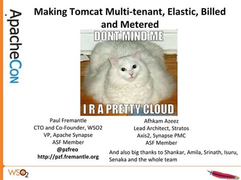 Making Apache Tomcat Multi Tenant Elastic And Metered Ppt