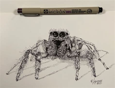Spider Drawing
