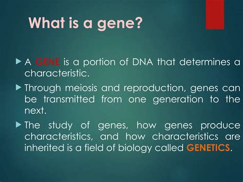 G8 Science Q4 Week 3 Patterns Of Inheritanceppt Genetics Science