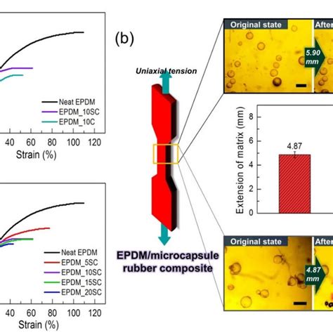 A 1 H Nmr Spectrum Of The Extracted Dicyclopentadiene Dcpd B The Download Scientific