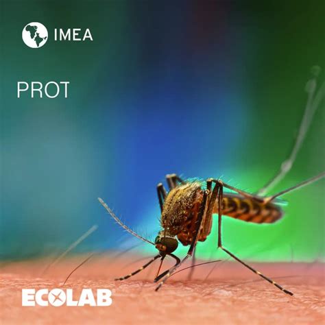 Ecolab On Linkedin Pest Control