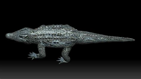 Alligator 3d Model Rigged And Low Poly Team 3d Yard