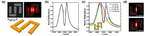 A Schematic View Sem Image And Near Field Intensity Distribution Of