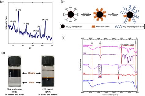 a xrd pattern of uncoated magnetite fe3o4 nps b schematic of the