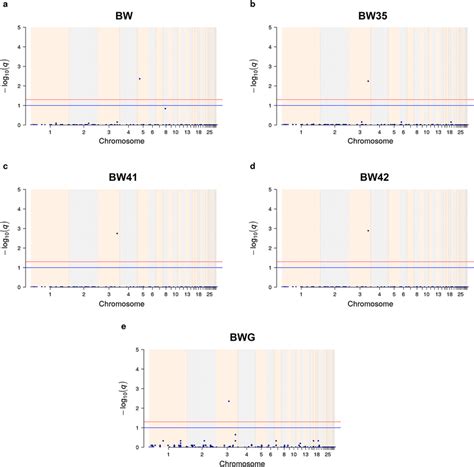 Manhattan Plots For Cnv Segments Across The 33 Autosomal Chromosomes