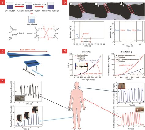 A Conductive And Self‐healable Hydrogel Made From Cnts And Pva In