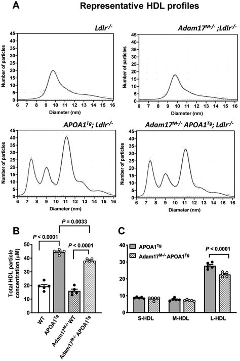 Adam17 Boosts Cholesterol Efflux And Downstream Effects Of Hdl On Inflammatory Pathways In