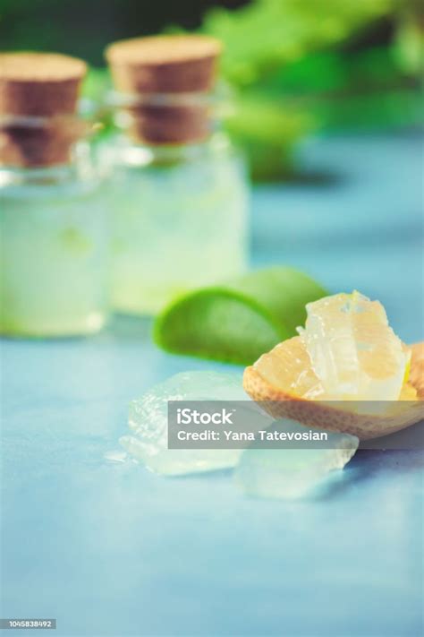 작은 병에 조각 테이블에 알로에 베라 추출 물 선택적 초점입니다 가꿔주기에 대한 스톡 사진 및 기타 이미지 가꿔주기 건강관리와 의술 녹색 Istock