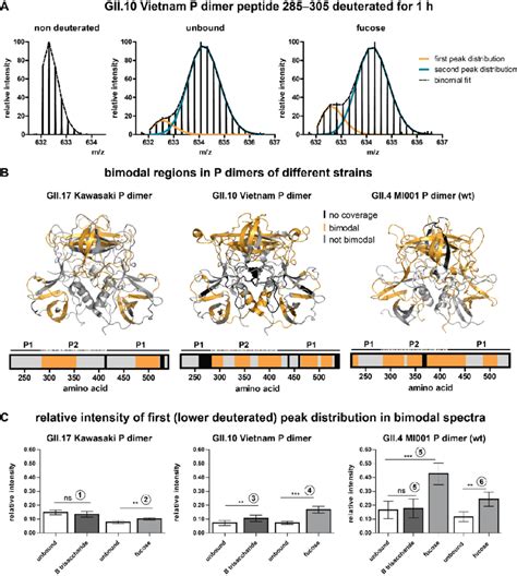 Bimodal Peak Distributions In Some Peptides Point Towards The Existence