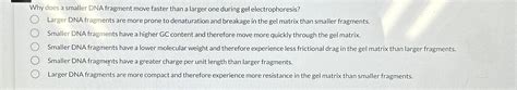 Solved Why Does A Smaller Dna Fragment Move Faster Than A