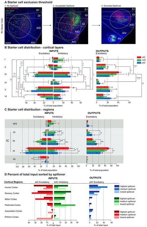 Figures And Data In A Whole Brain Connectivity Map Of Mouse Insular Cortex Elife
