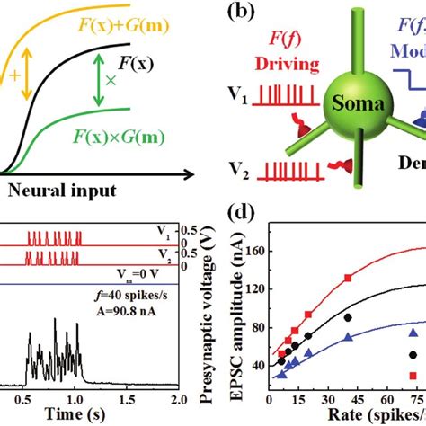Neuronal Arithmetic In The Scheme Of Rate Coding A The Schematic Download Scientific Diagram