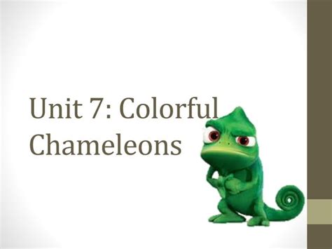 Unit 7 Colorful Chameleons Pptx