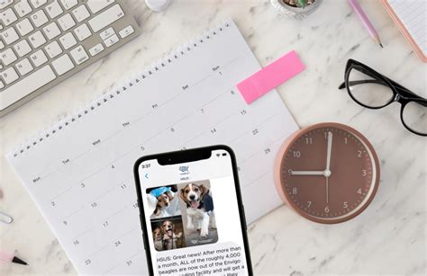 An Ultimate Guide To SMS Short Codes How To Get Started