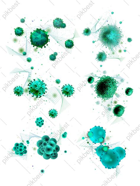 Illustrator Of Bacterial Cell Membrane Ai Png Images Free Download
