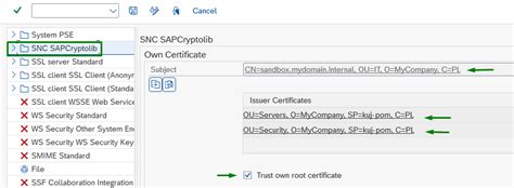 sap gui single sign on based on ssl certificates a sap community
