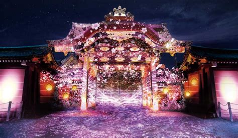 今年來京都二條城賞櫻NAKED FLOWERS 2023櫻 世界遺産二條城光雕秀浪漫登場 樂吃購日本