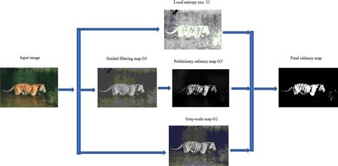 The Process Of Saliency Map Generation Download Scientific Diagram
