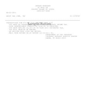 Fillable Online Sample Return Sample Return Services For Tax Preparers Fax Email Print PdfFiller