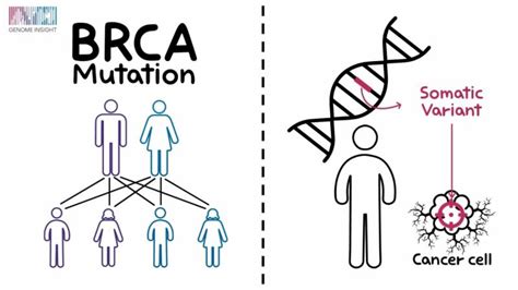Dongwan Hong On Linkedin 1 Germline Variant Vs Somatic Variant