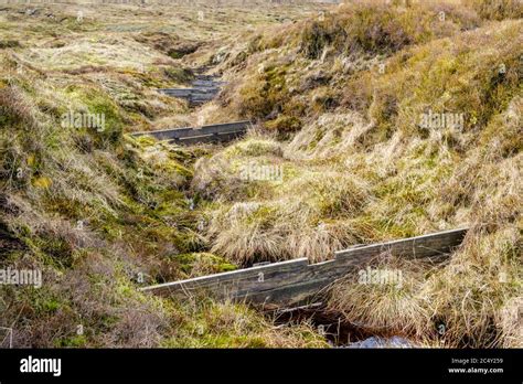 Gully Blocking Using Wooden Dams Preventing Erosion Of The Moorland