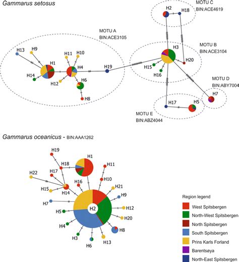 Minimum Spanning Network Msn Indicating Phylogenetic Relationships