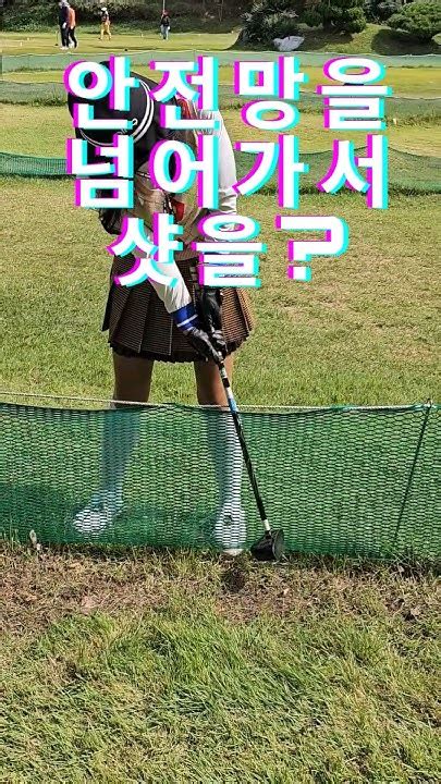파크골프치는법 파크골프 Park Golf 안전망에 공이 붙었을땐 이렇게 파크골프 규칙 Youtube