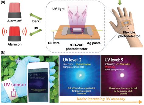 Application Of Flexible Photodetectors For Wearable Monitoring Sensors Download Scientific