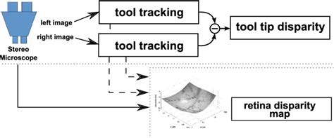 A Schematic Overview Of The Proximity Detection Method Download Scientific Diagram