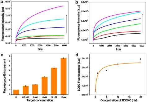 Figure 2 From Engineering A Cell Surface Aptamer Circuit For Targeted And Amplified Photodynamic