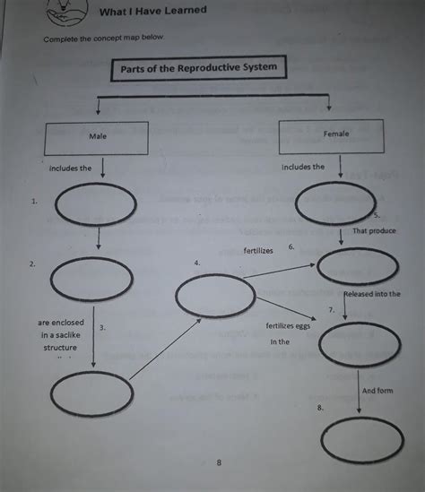 What I Have Learned Complete The Concept Map Below Parts Of The