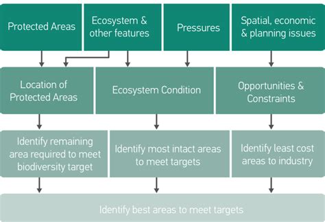Overview Of Spatial Prioritization Process Download Scientific Diagram