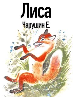 Рассказ Лиса - Чарушин Е.И. онлайн читать без регистрации