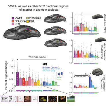 Demystifying Visual Word Form Area Visual And Nonvisual Response Properties With Precision FMRI