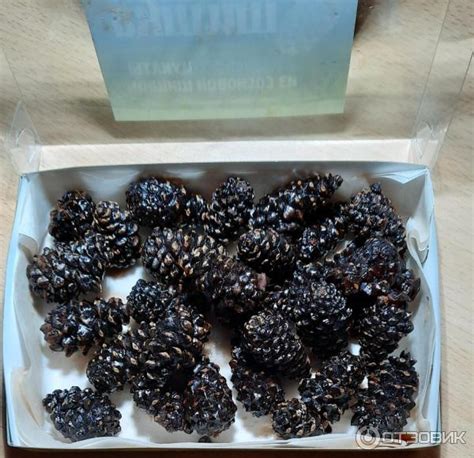 Отзыв о Цукаты из сосновой шишки Маркот А вы пробовали сосновую шишку на вкус Оказывается