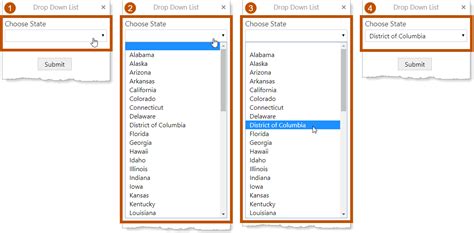 Drop Down List Form Element